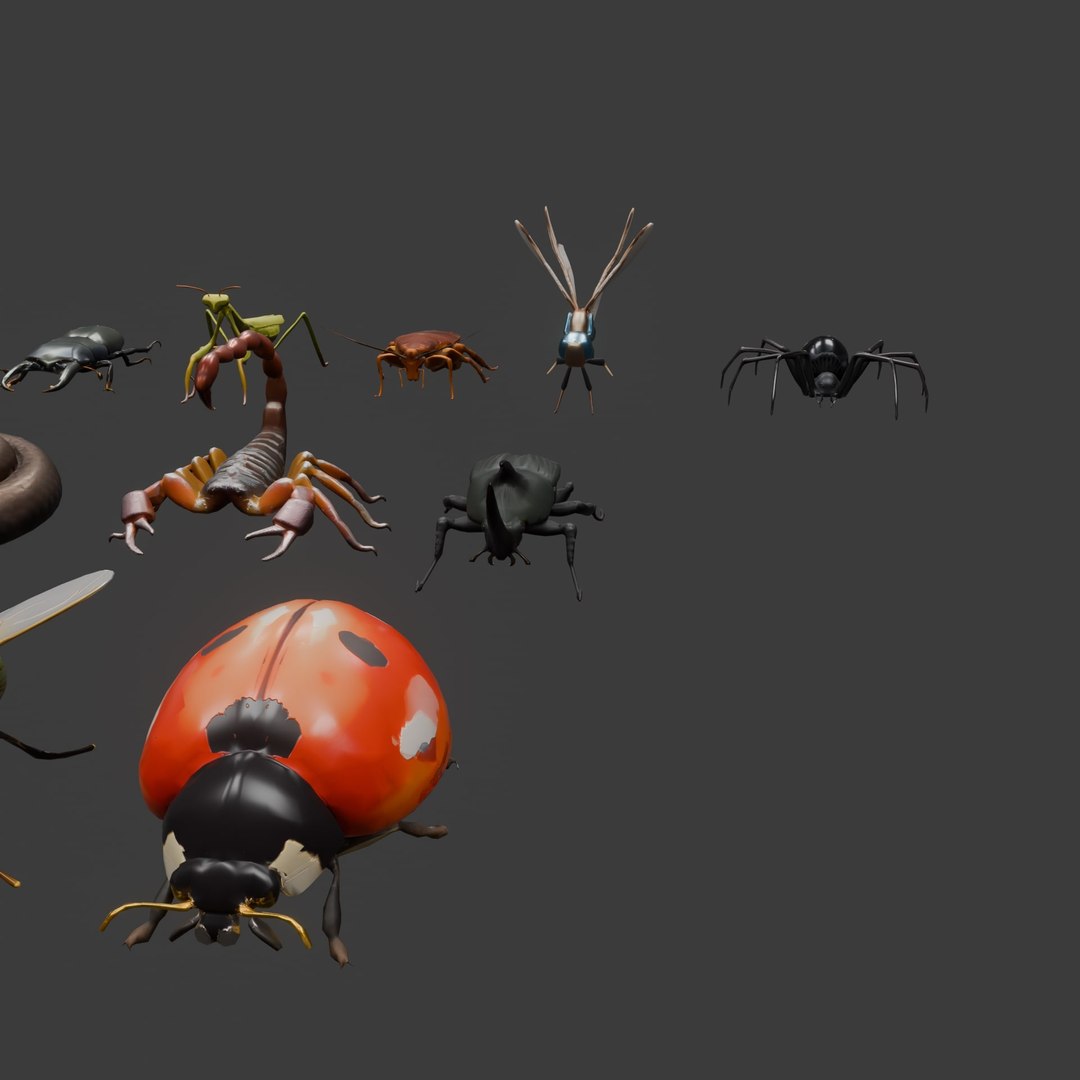3D Low Poly Insect Set 15 Unique Models For Your Projects - TurboSquid ...