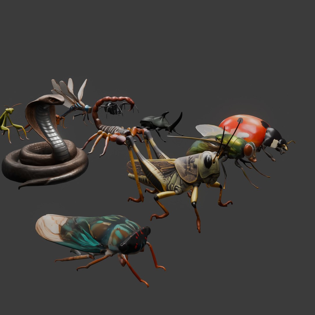 3D Low Poly Insect Set 15 Unique Models For Your Projects - TurboSquid ...