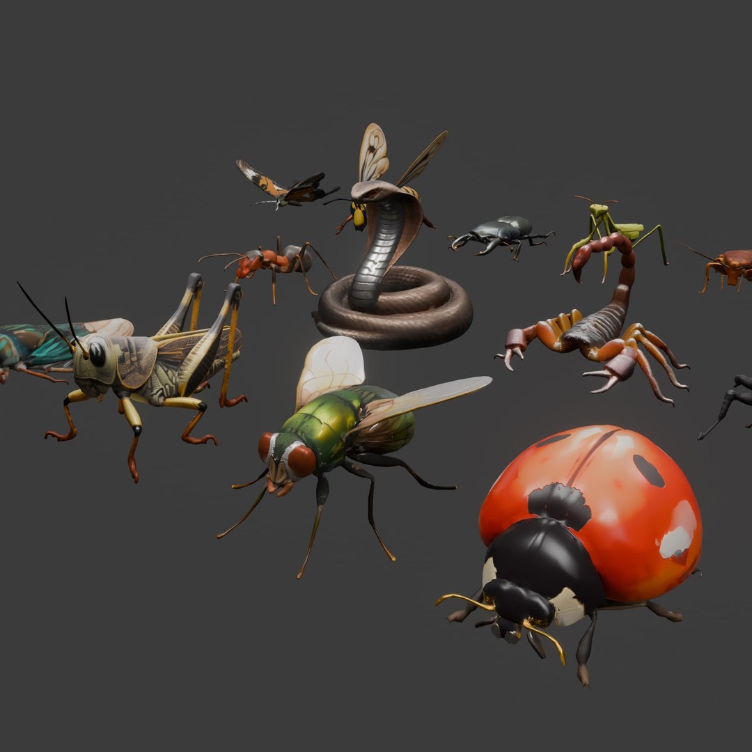 3D Low Poly Insect Set 15 Unique Models For Your Projects - TurboSquid ...