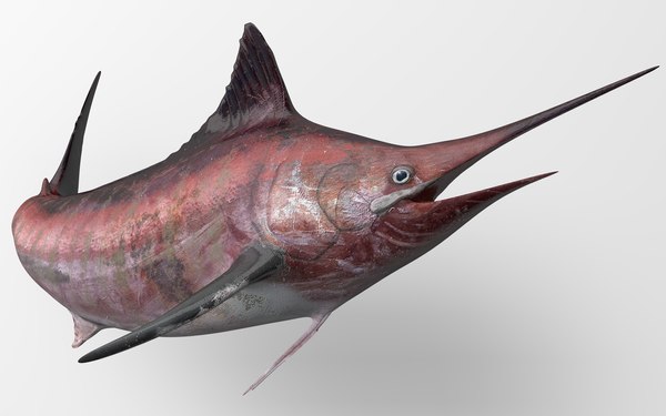 3D model Marlin Rigged L1830 - TurboSquid 1966776