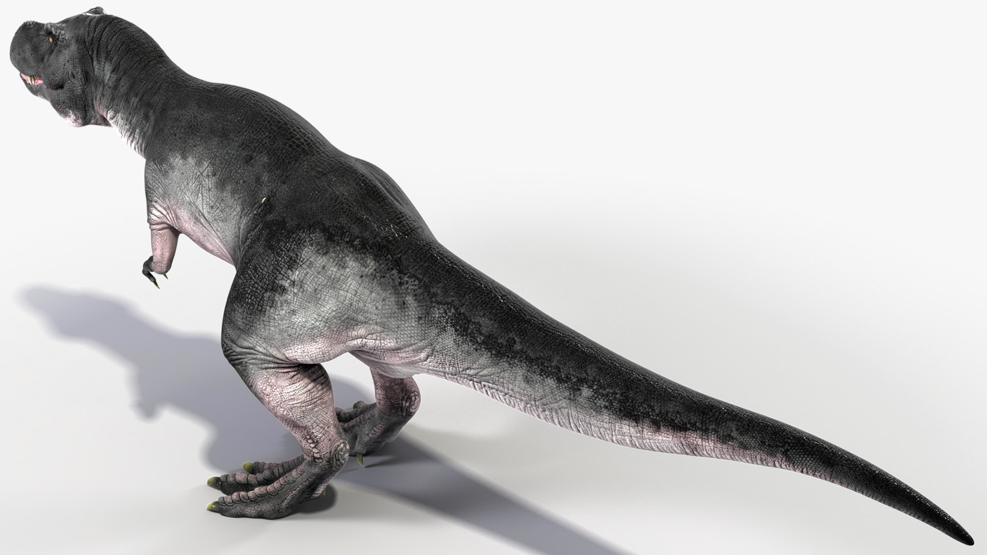 T Rex Eating Animated Rigged 3D - TurboSquid 2102891