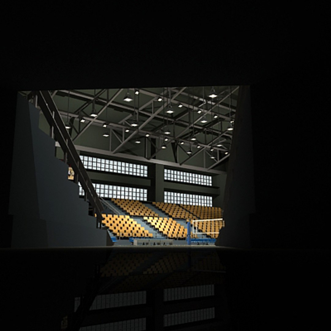 Max Volleyball Arena Ball