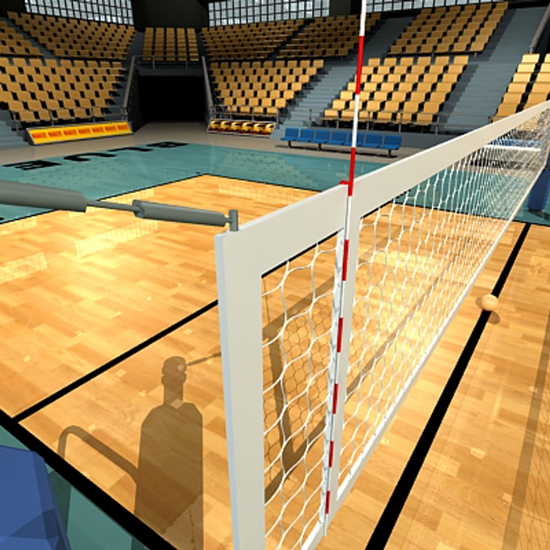 Max Volleyball Arena Ball