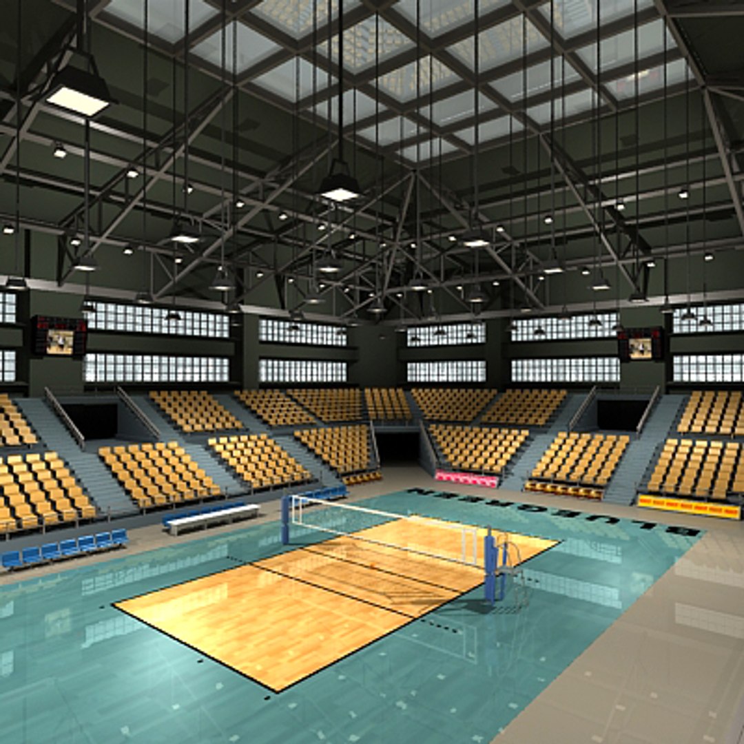 Max Volleyball Arena Ball