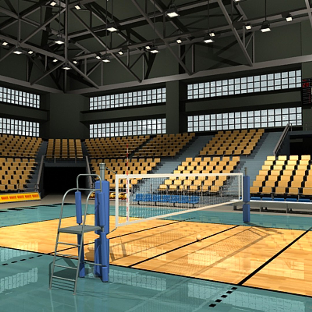 Max Volleyball Arena Ball