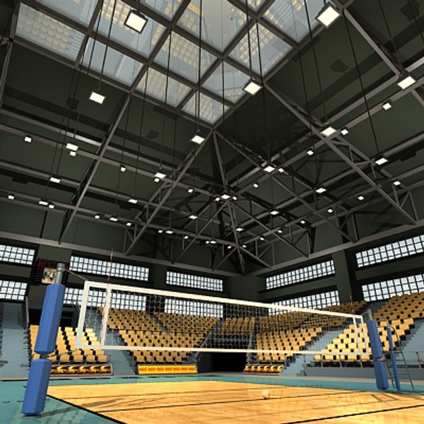 max volleyball arena ball