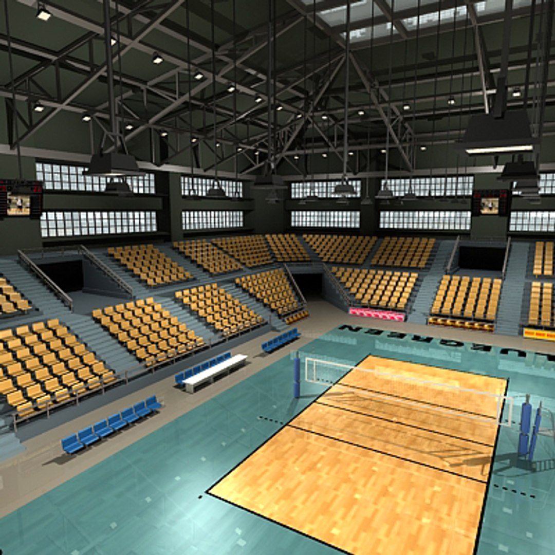 Max Volleyball Arena Ball