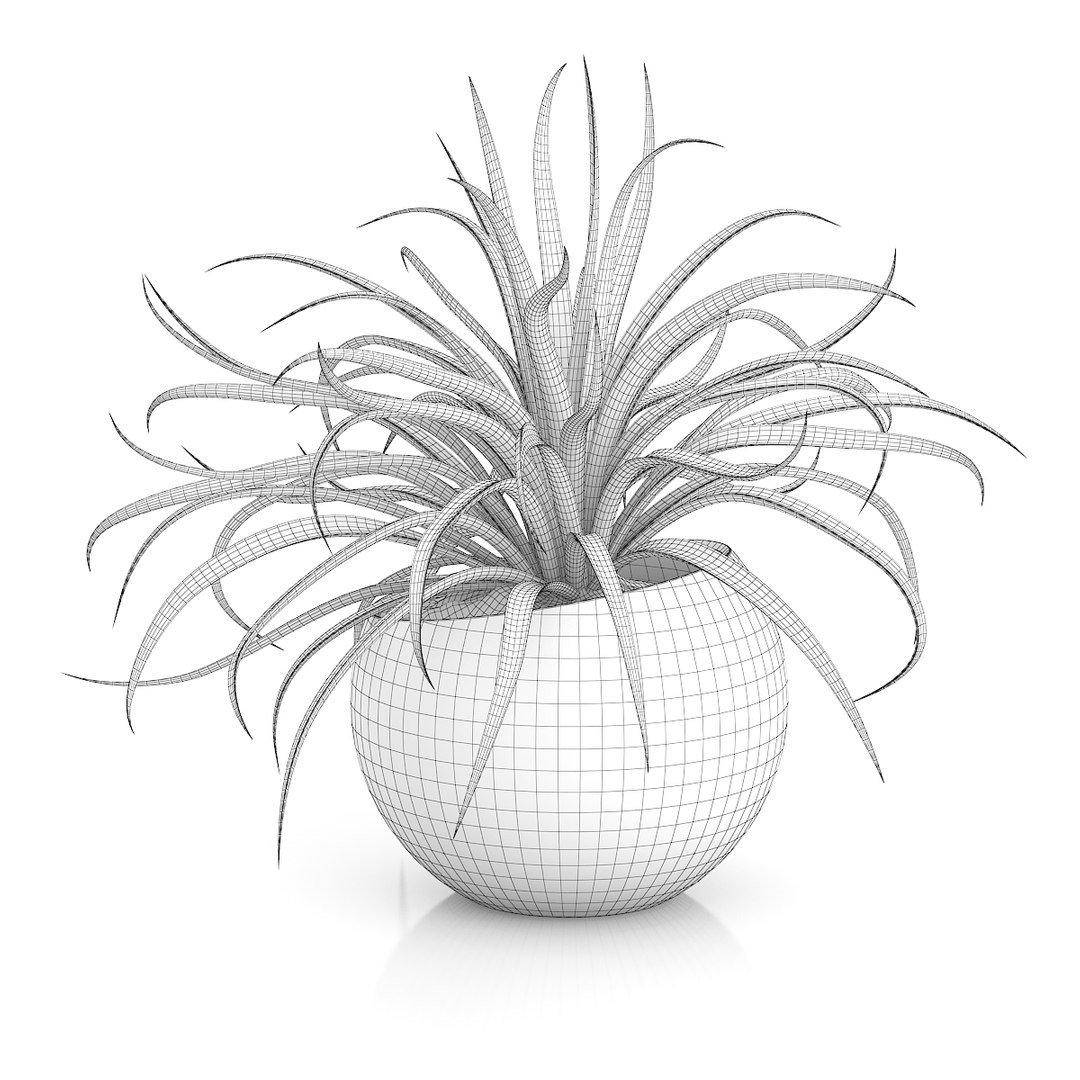 Plant Sphere Pot 3d Max
