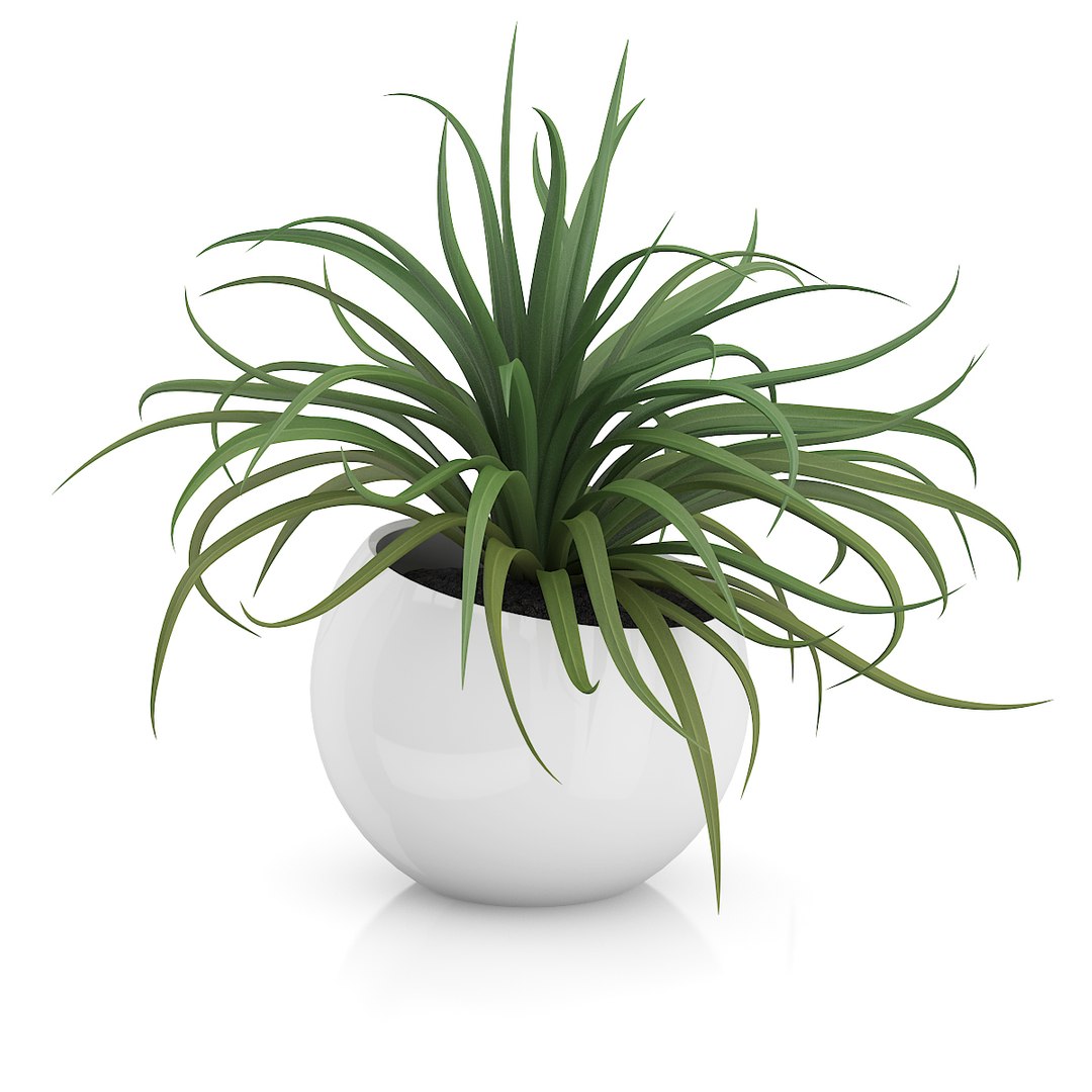 Plant Sphere Pot 3d Max