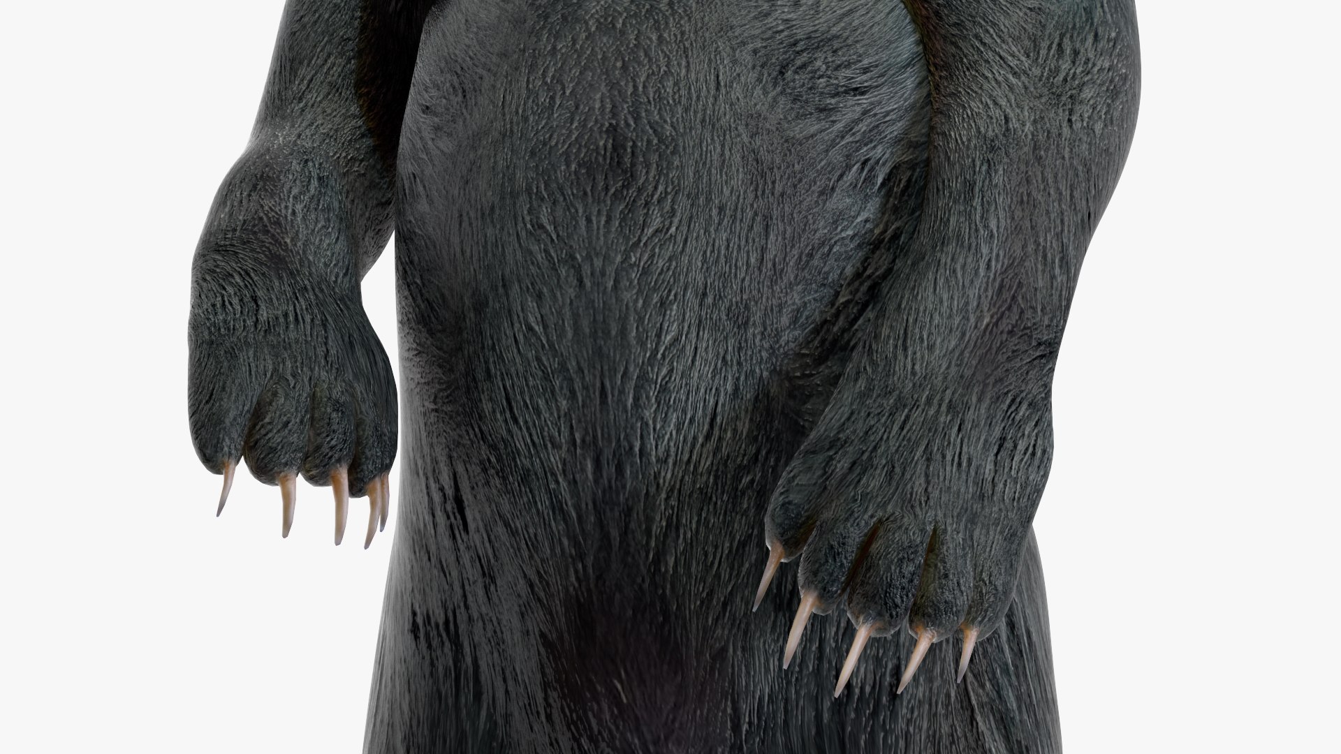 3D Model Standing Black Bear - TurboSquid 2253913
