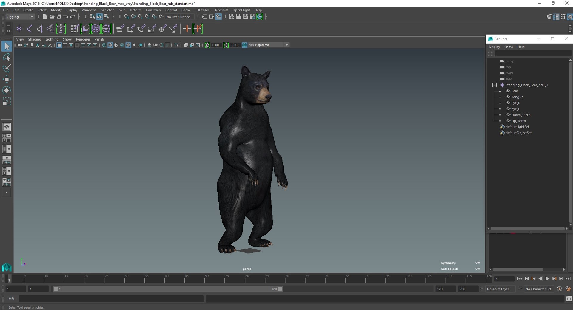 3D Model Standing Black Bear - TurboSquid 2253913