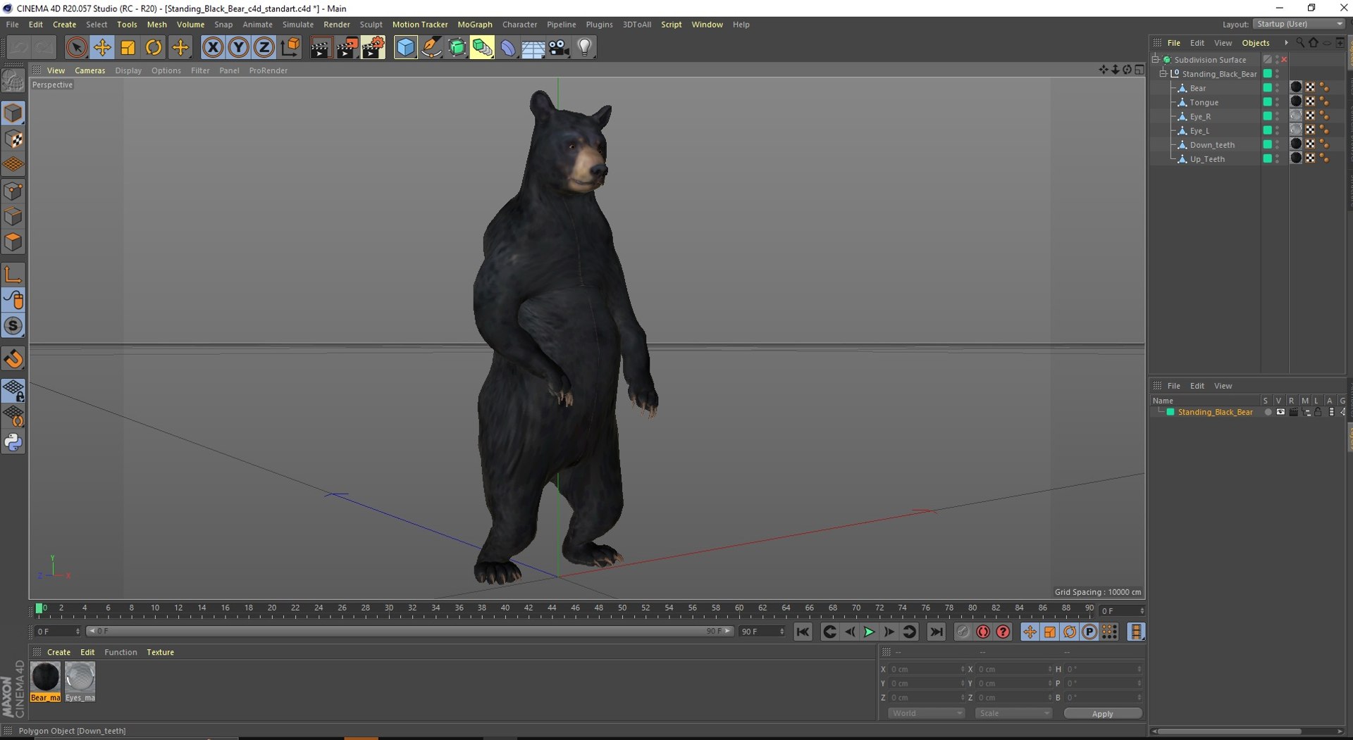 3D Model Standing Black Bear - TurboSquid 2253913