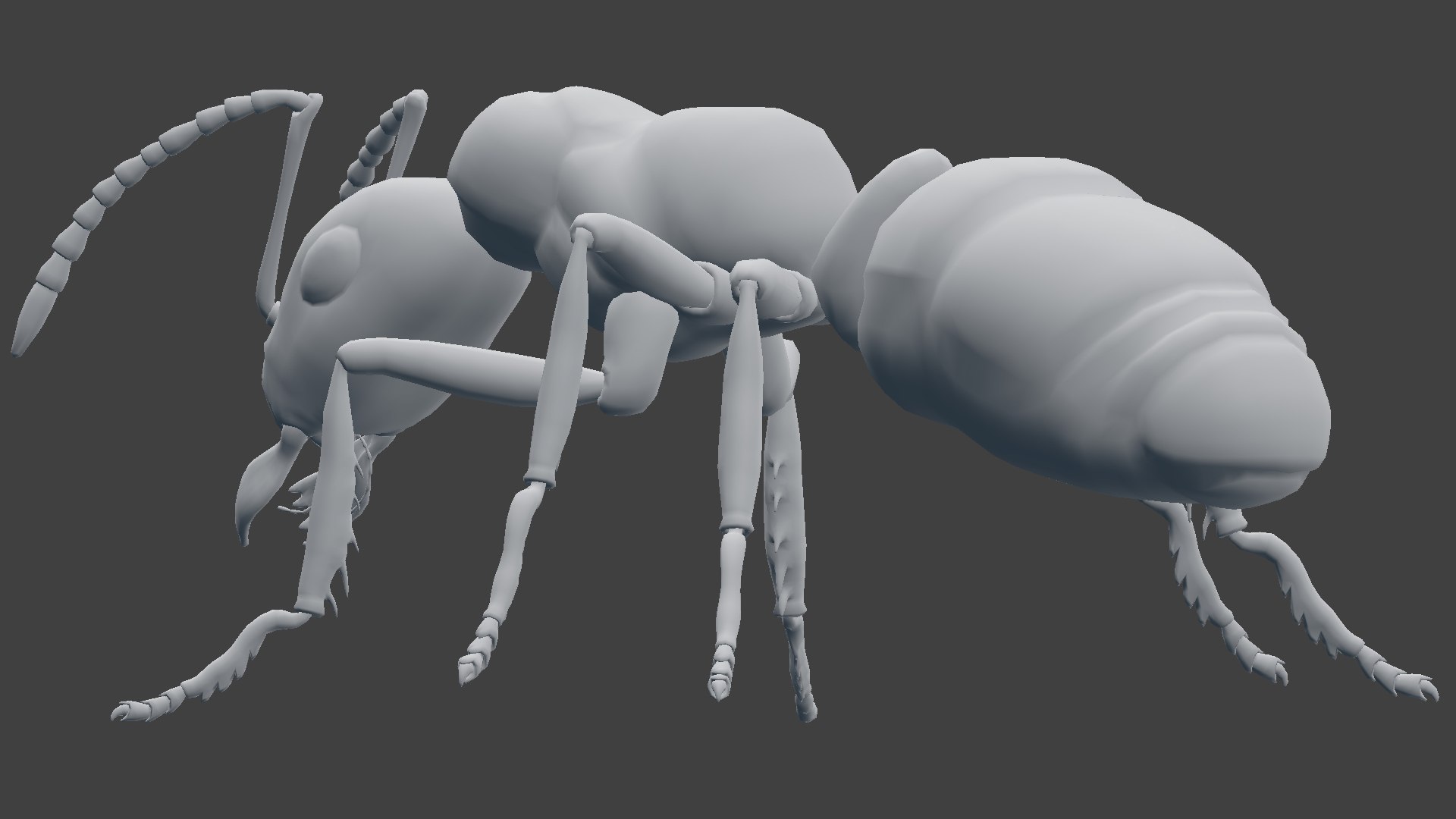 Ant Blender 3D Model - TurboSquid 1378173