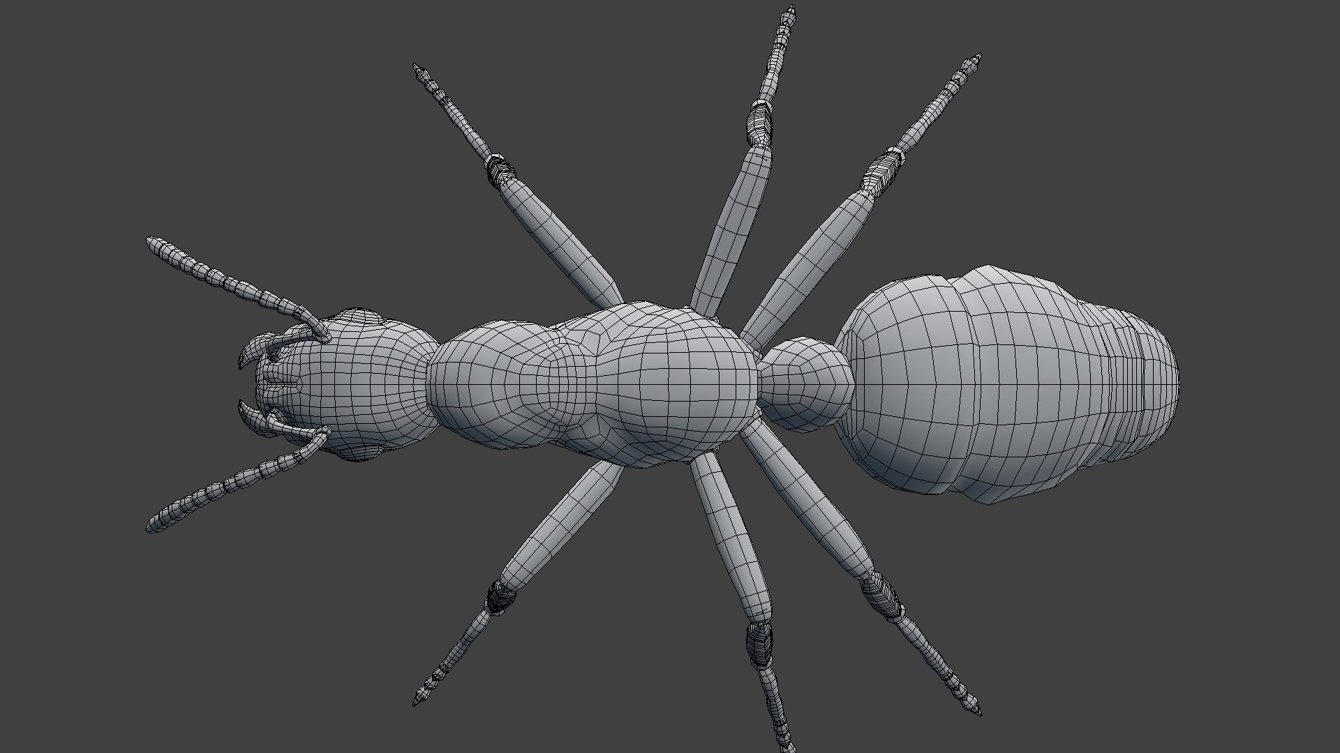 Ant Blender 3D Model - TurboSquid 1378173