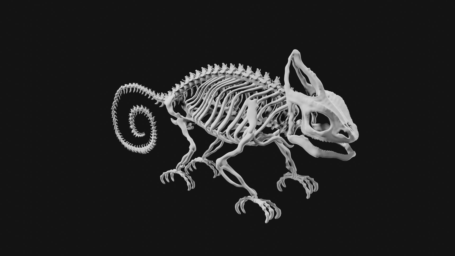 Chameleon Skeleton 3D - TurboSquid 1956824
