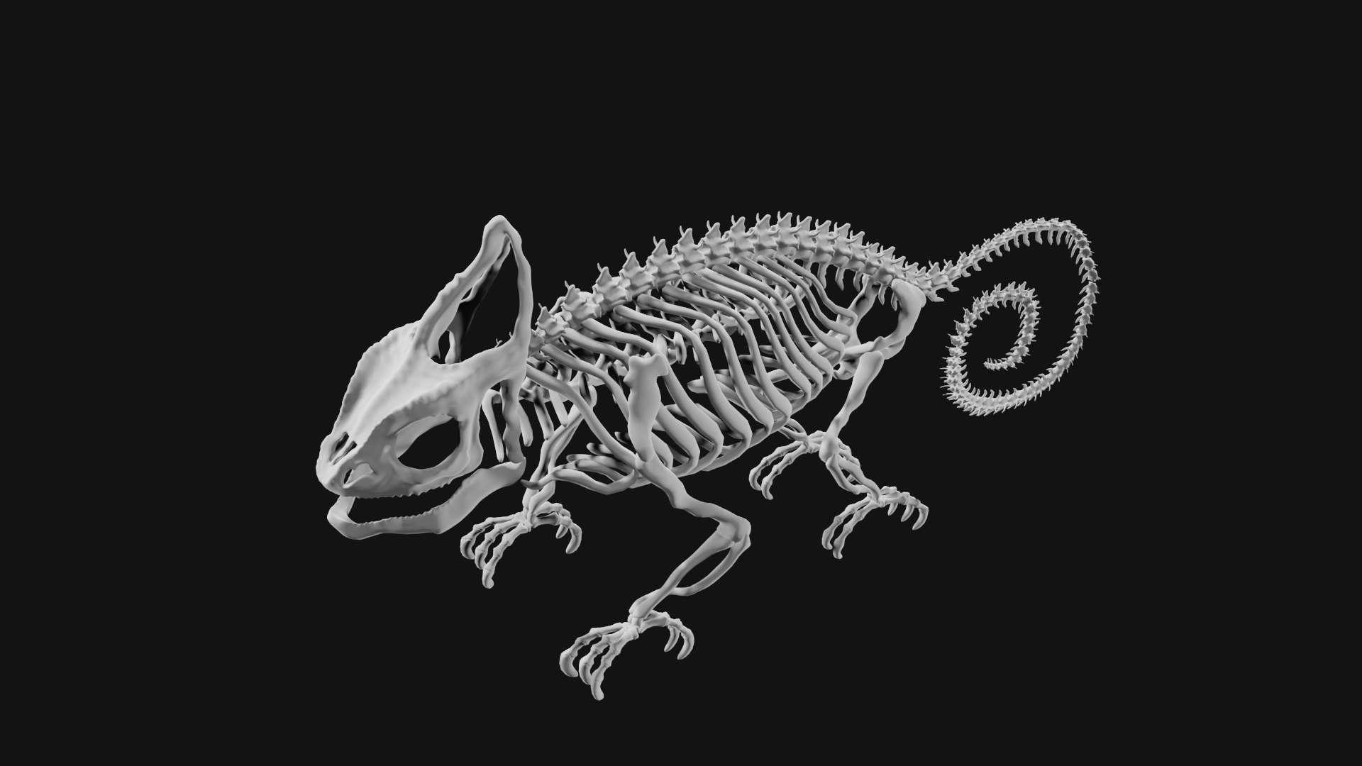 Chameleon Skeleton 3D - TurboSquid 1956824