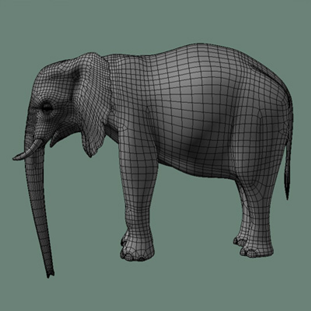 Elephant Max