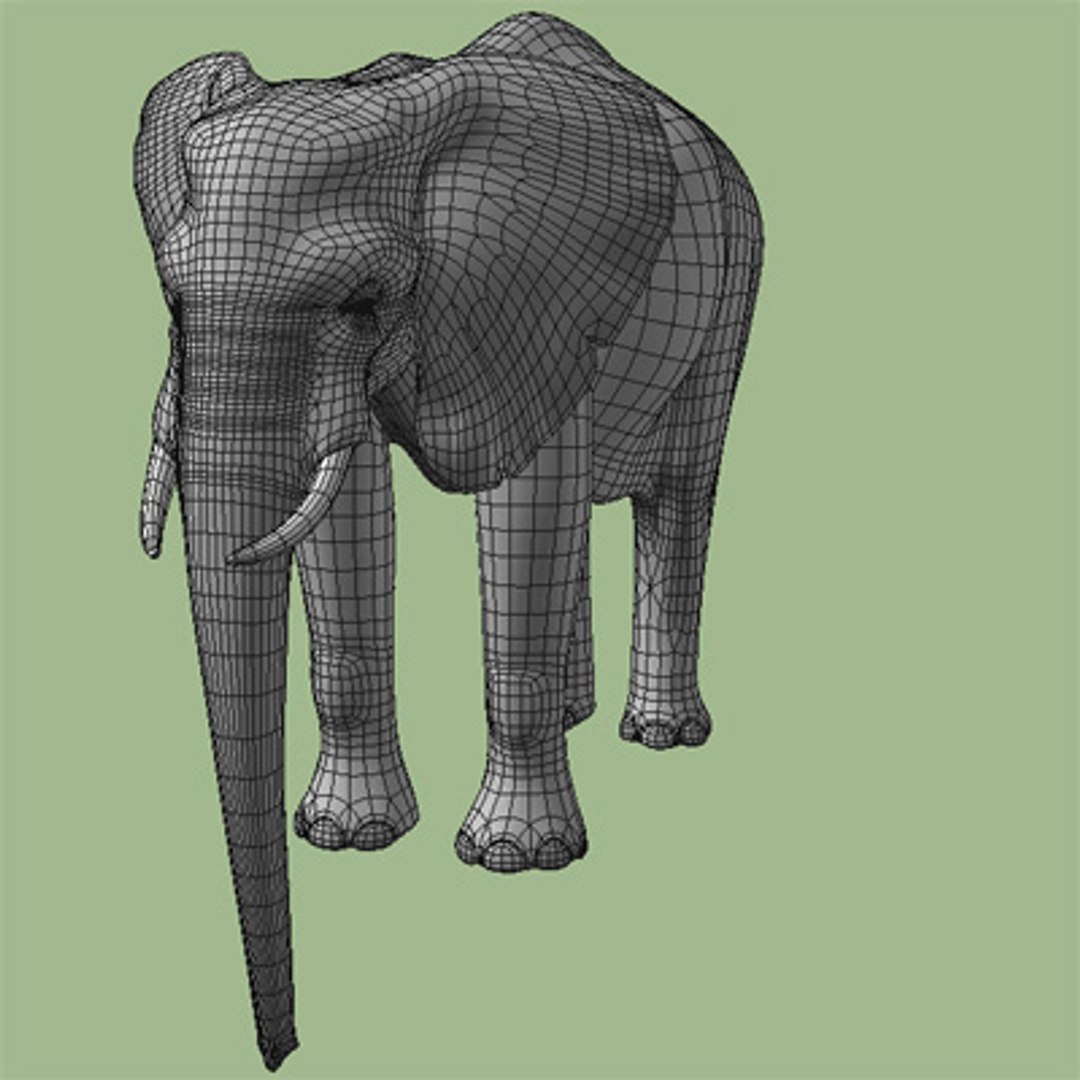 Elephant Max