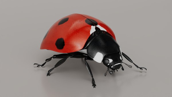 modèle 3D de Coccinelle volante animée et riggée pour Maya - TurboSquid ...