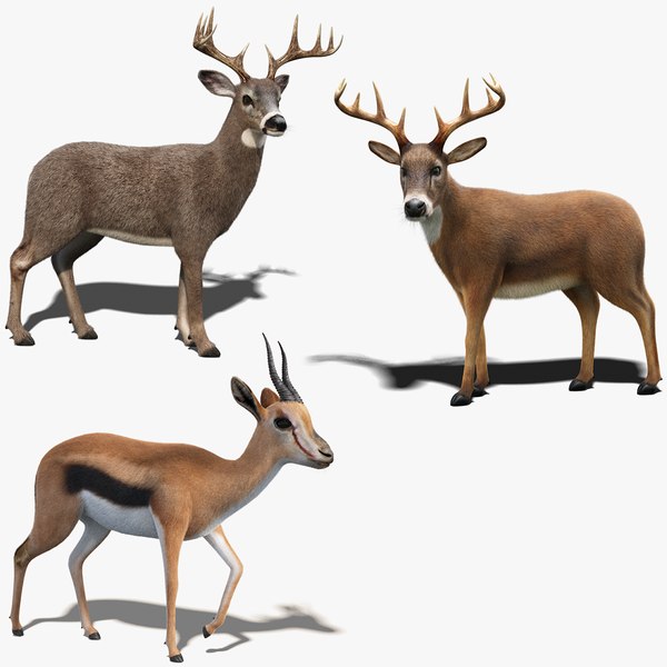 rigged dappled deer 3d 3ds