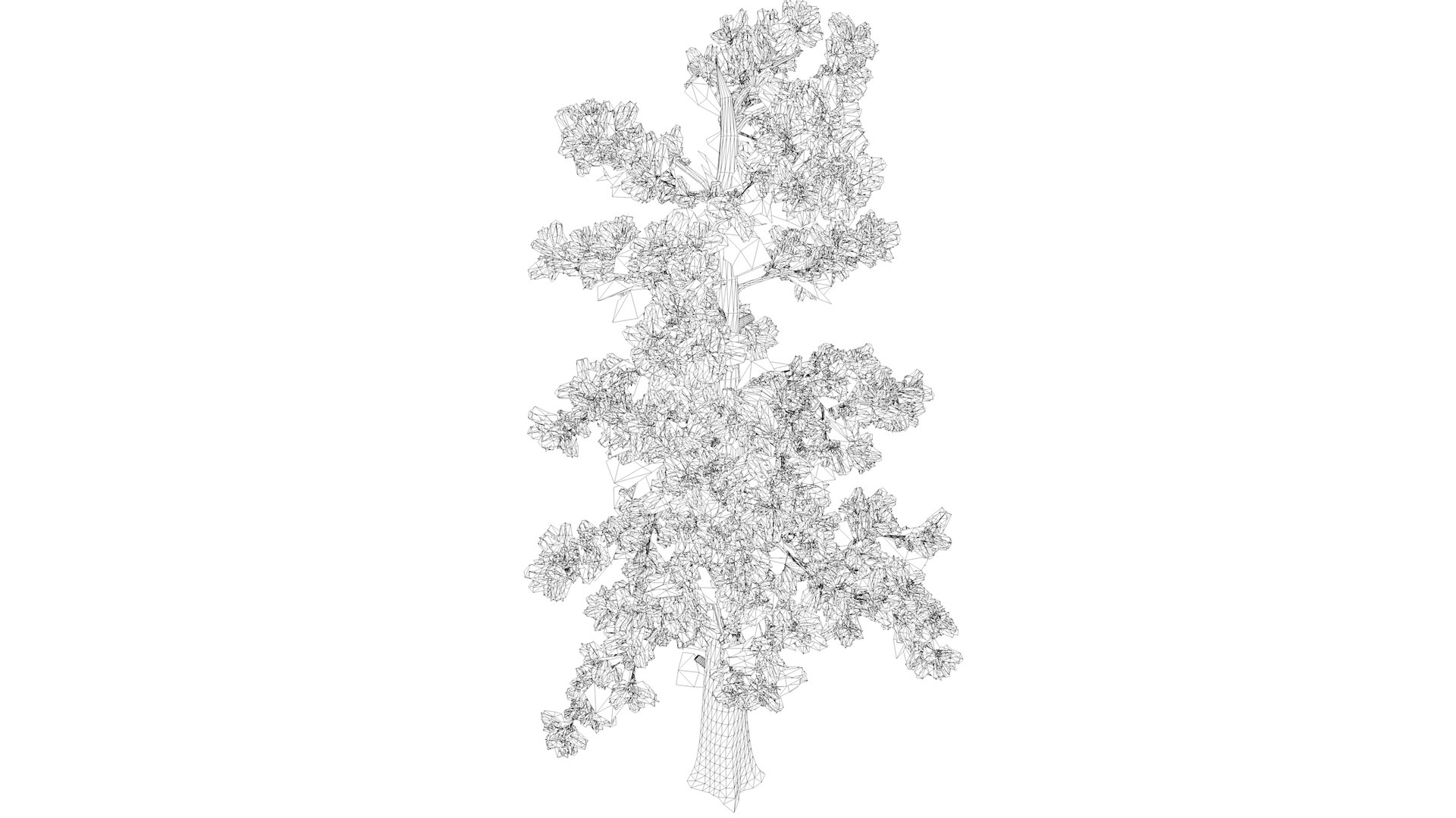 3D Eastern White Pine - 08 - Model - TurboSquid 2373457
