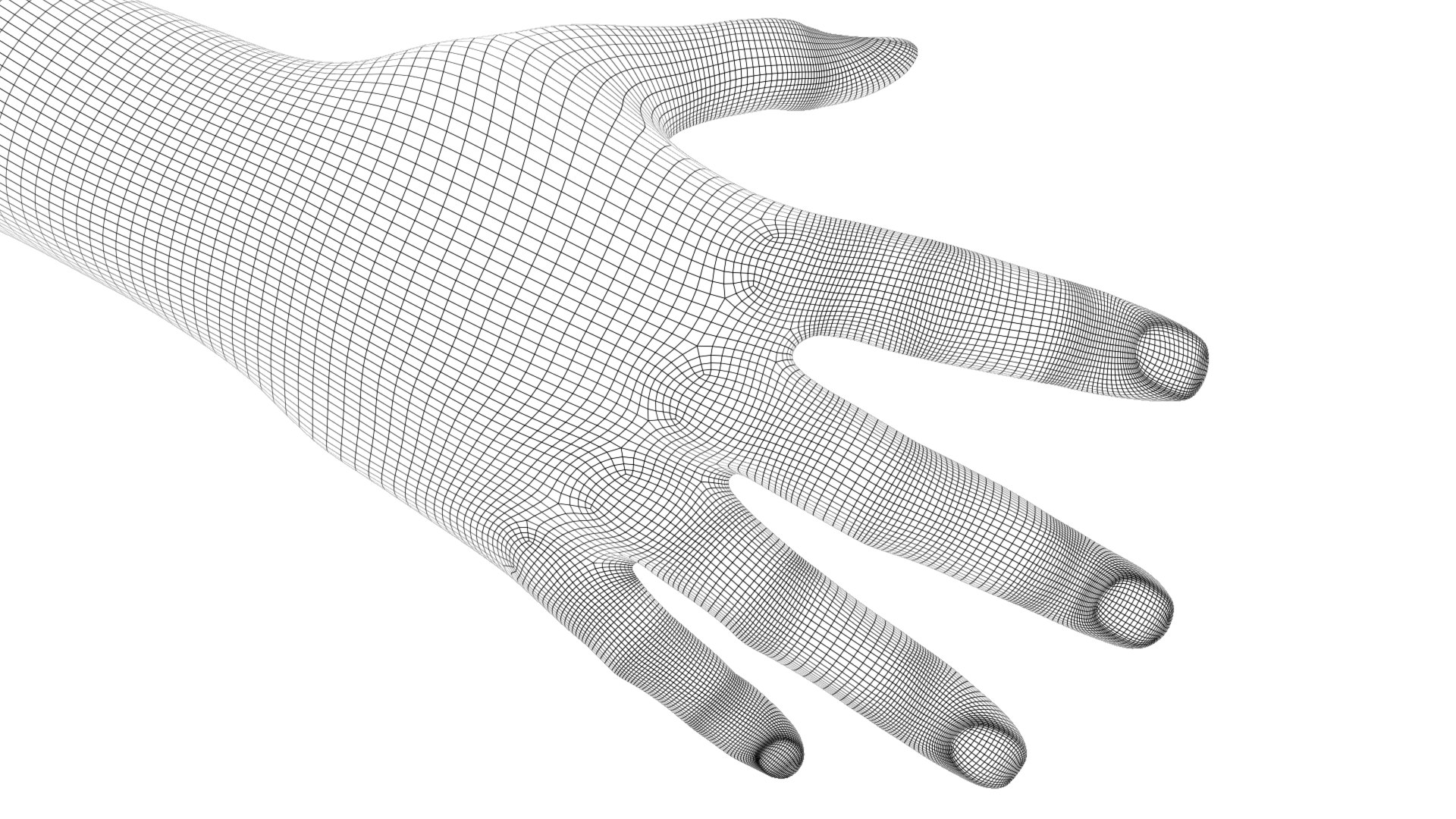 3D Hands Rigged - TurboSquid 1985238