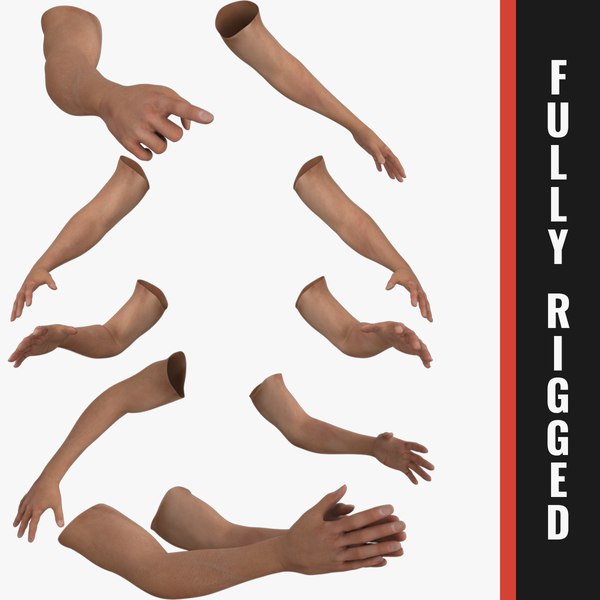 modelo 3d Hands Rigged - TurboSquid 1985238