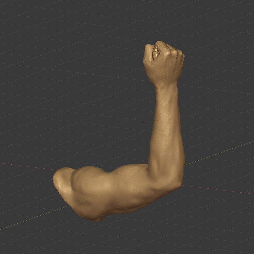 3D Figurine Arm Model - TurboSquid 1696226