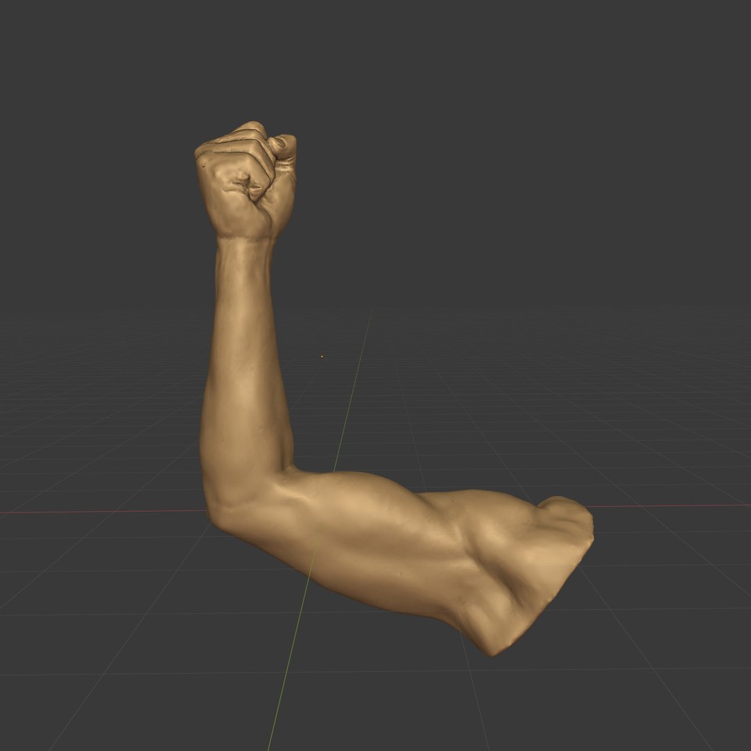 3D Figurine Arm Model - TurboSquid 1696226