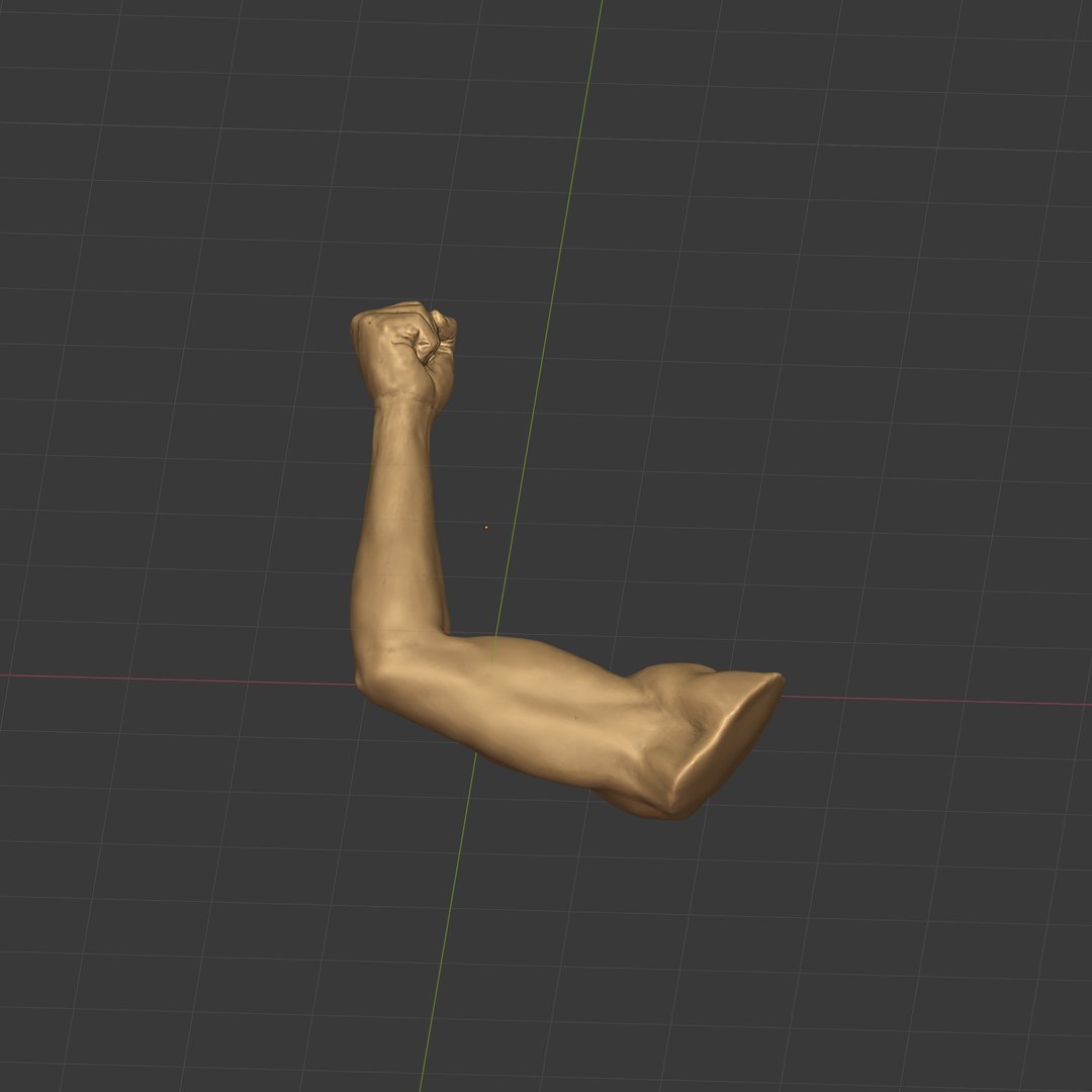 3D Figurine Arm Model - TurboSquid 1696226
