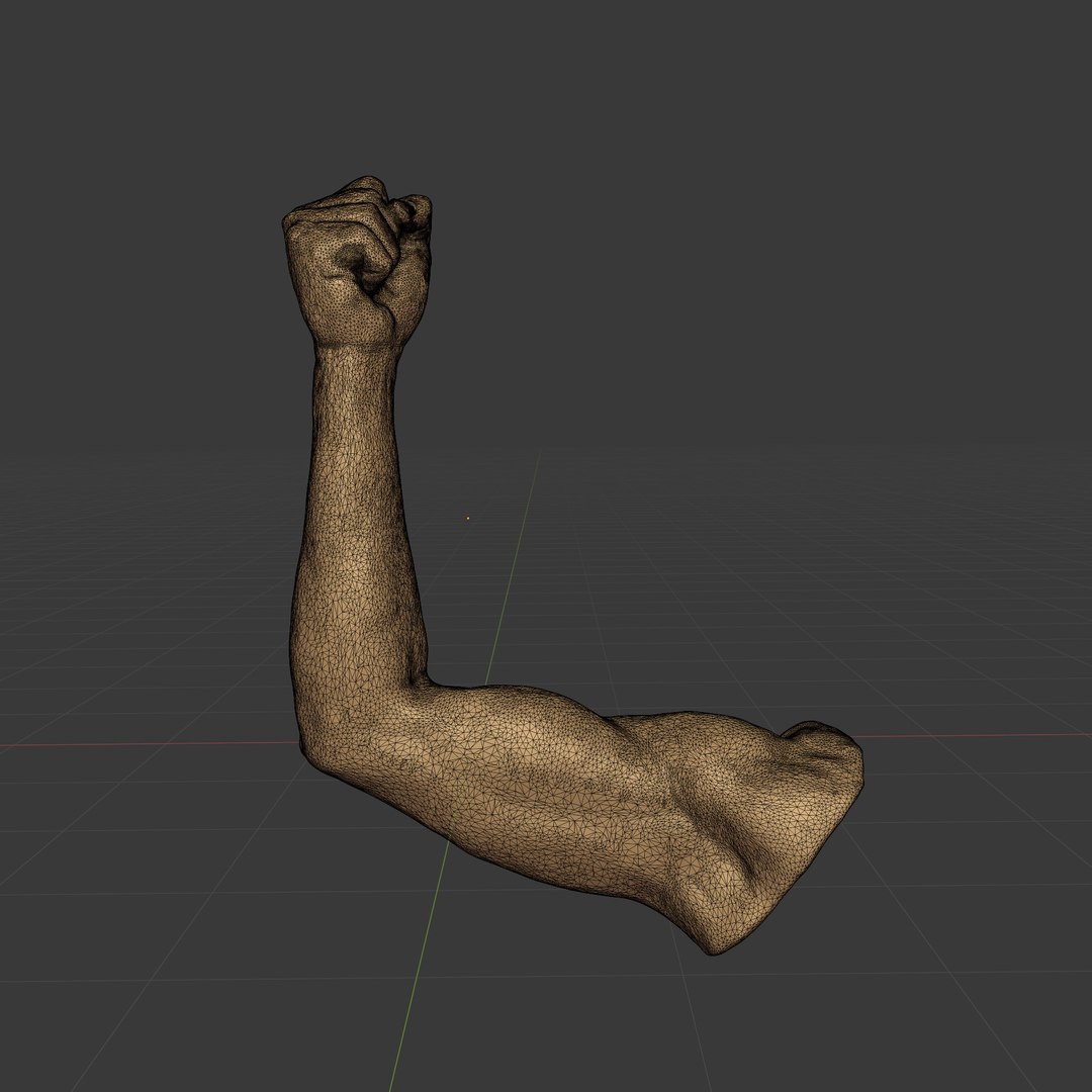 3D Figurine Arm Model - TurboSquid 1696226