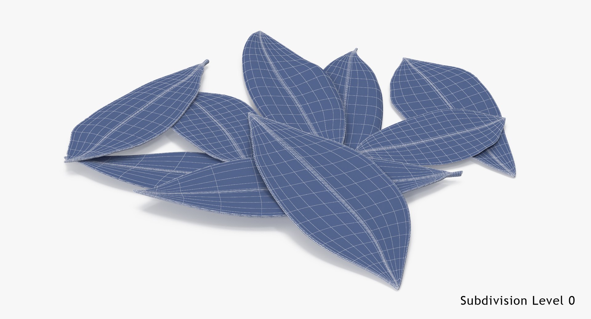 Bay Leaves 3d Model