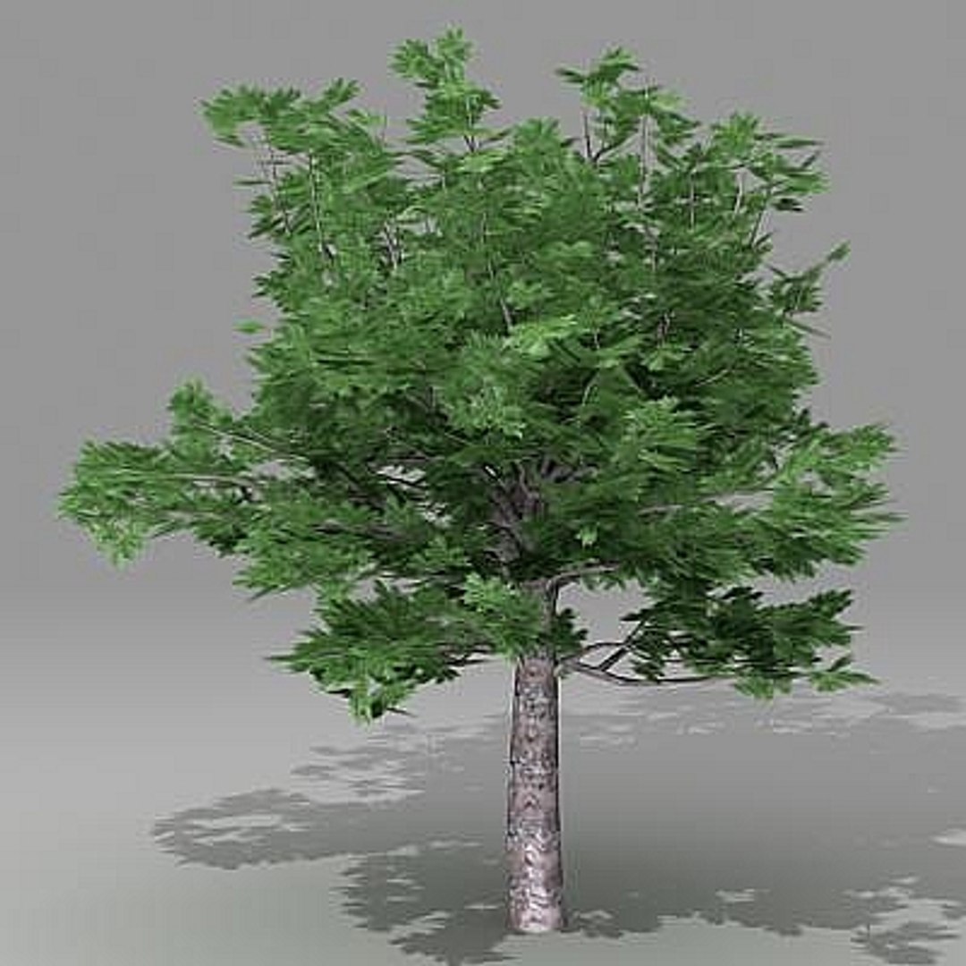 trees 3d 3ds