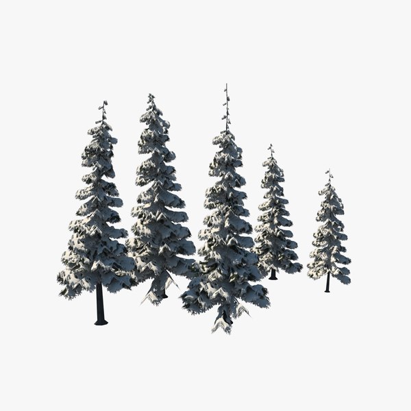 3d spruce tree model