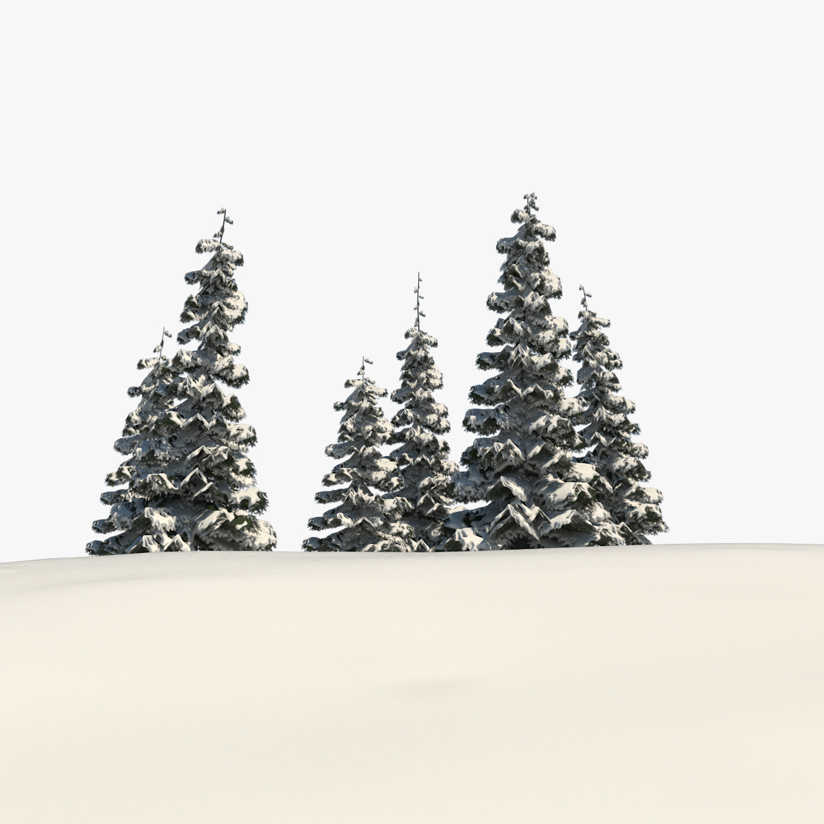 3d spruce tree model