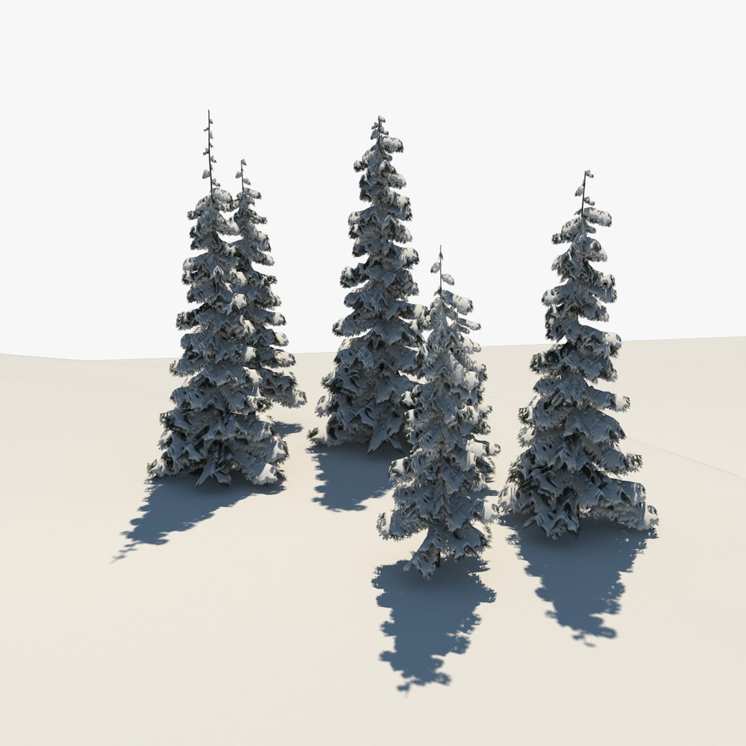 3d spruce tree model