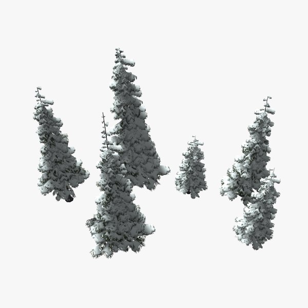 3d spruce tree model