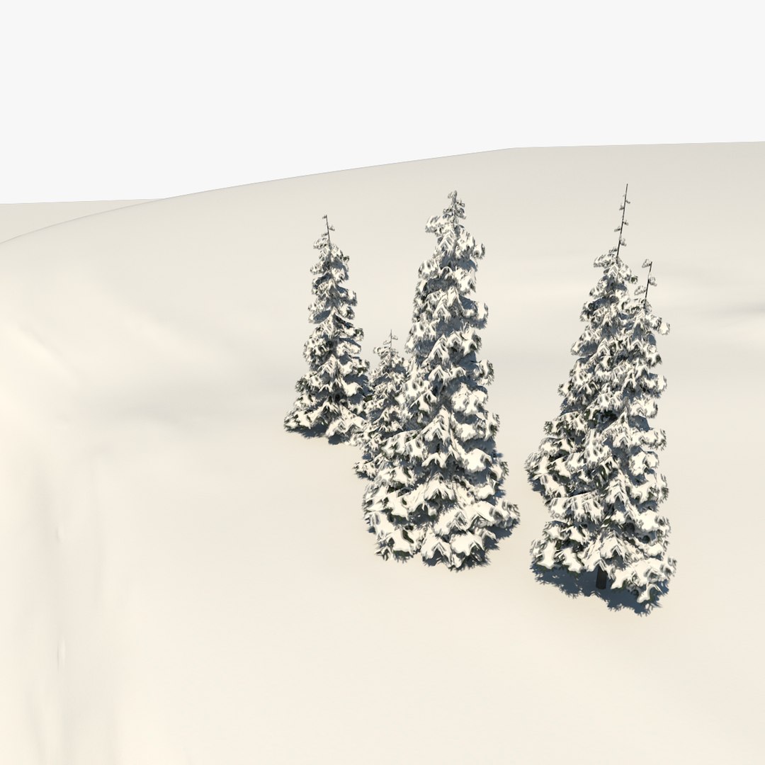 3d spruce tree model