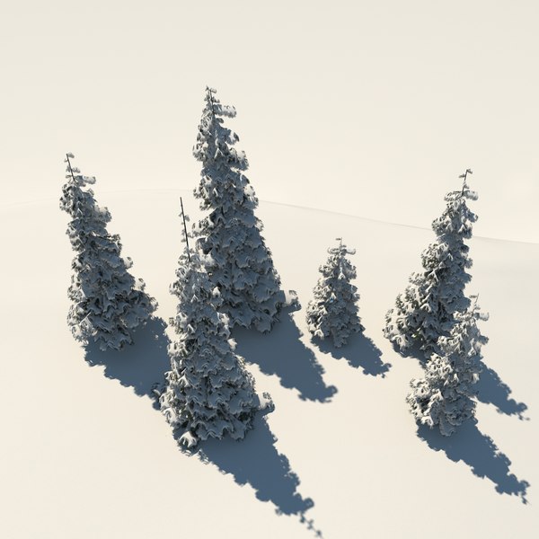 3d spruce tree model