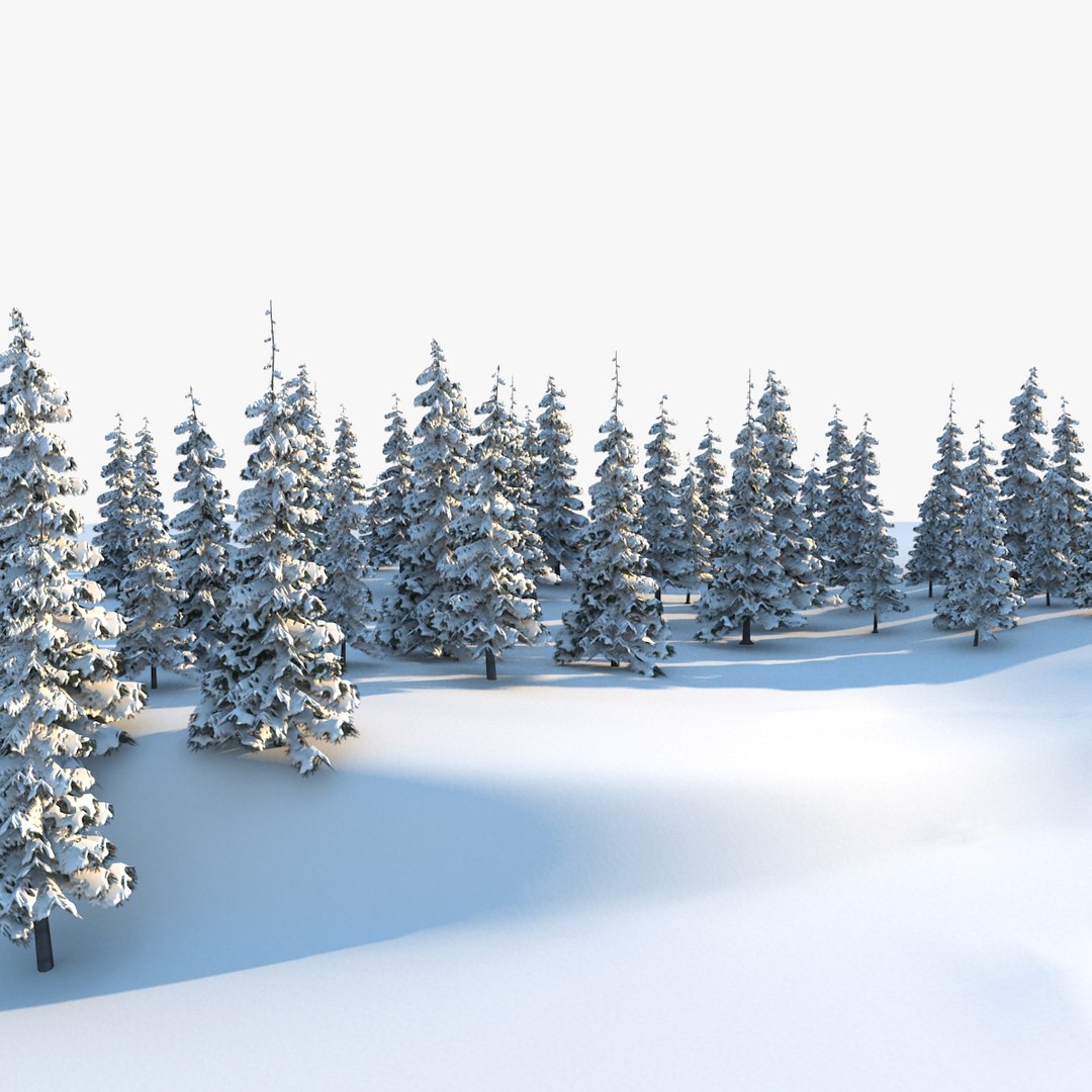 3d spruce tree model