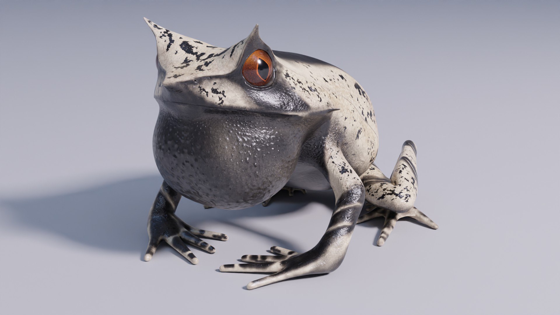 3D Malayan Horned Frog - Rigged Model - TurboSquid 2031808