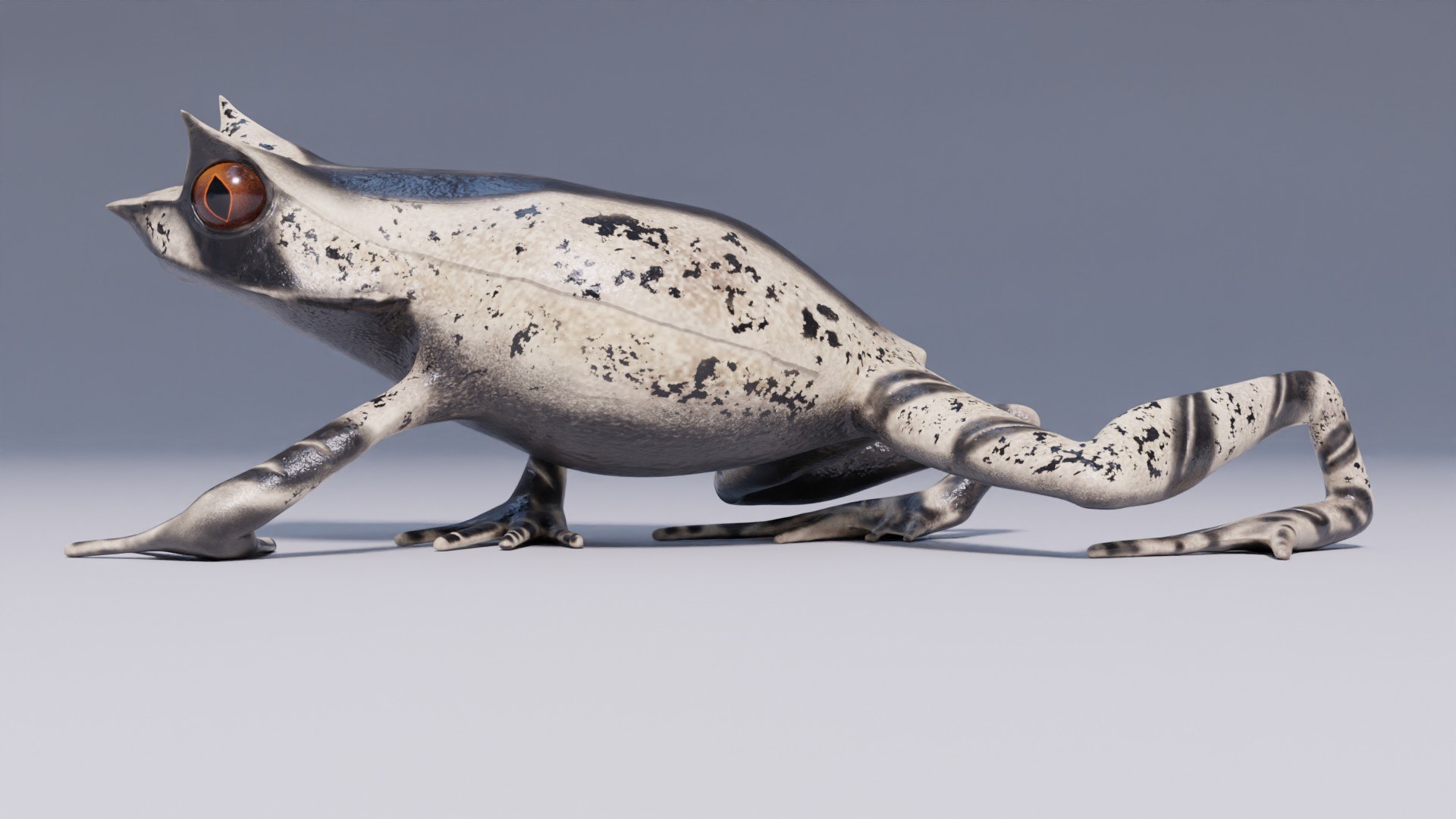 3D Malayan Horned Frog - Rigged Model - TurboSquid 2031808