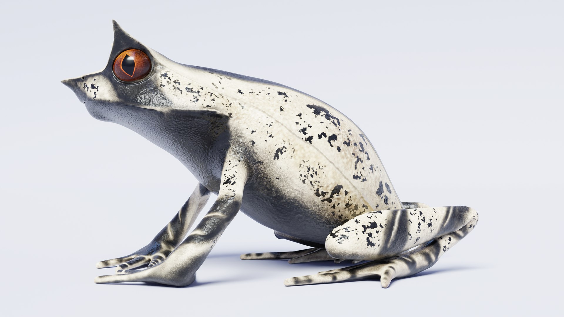 3D Malayan Horned Frog - Rigged model - TurboSquid 2031808