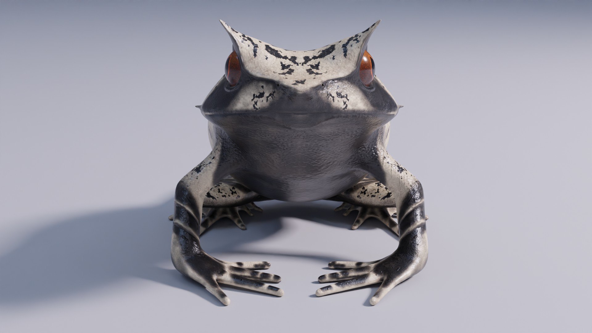 3D Malayan Horned Frog - Rigged Model - TurboSquid 2031808