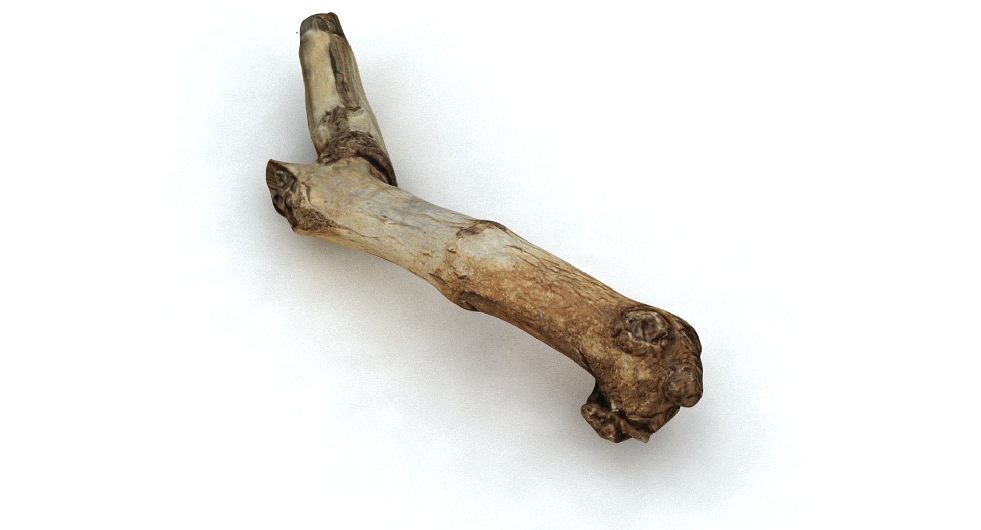 photorealistic stick 3d max