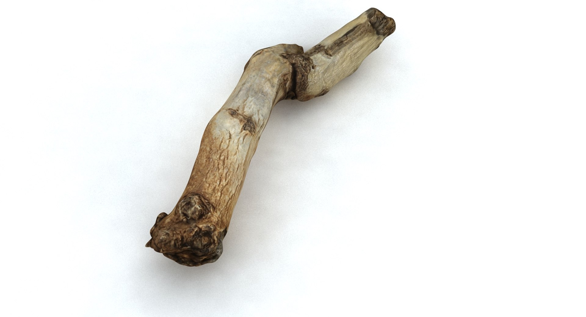 photorealistic stick 3d max