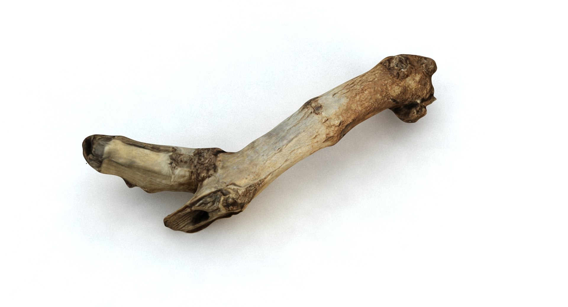 photorealistic stick 3d max