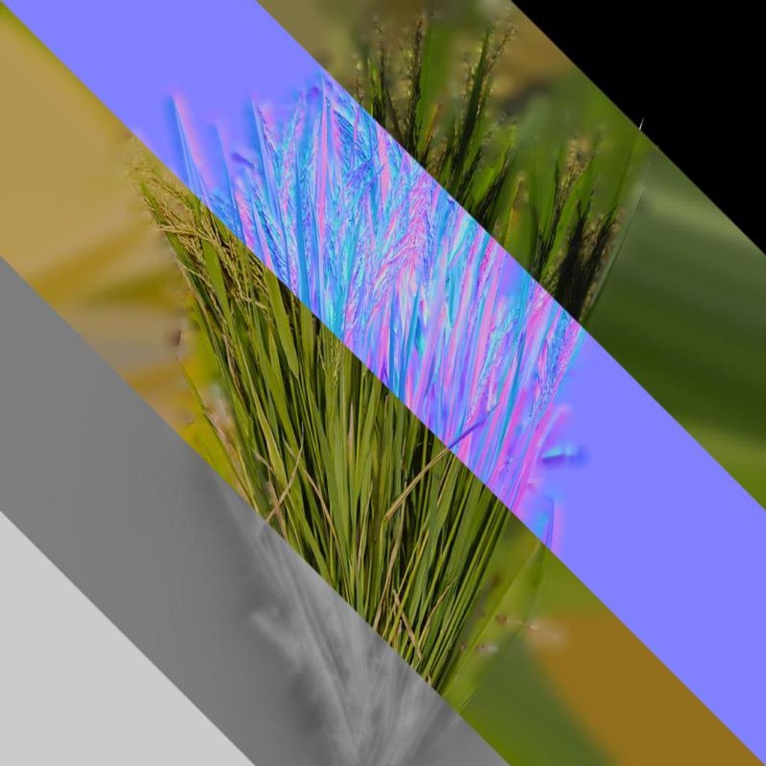 Anydrafts Oryza Sativa Atlas 01 Textures 3D - TurboSquid 2349792