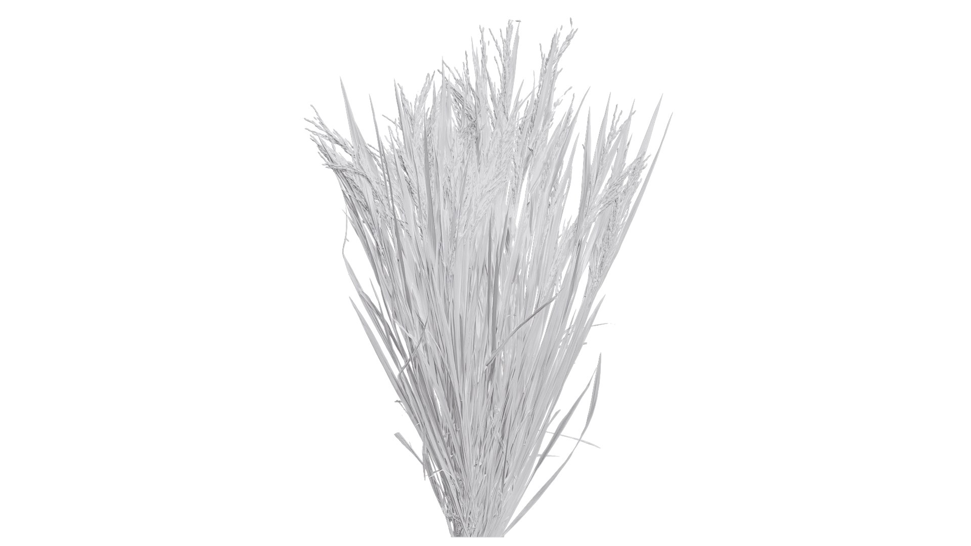 Anydrafts Oryza Sativa Atlas 01 Textures 3D - TurboSquid 2349792