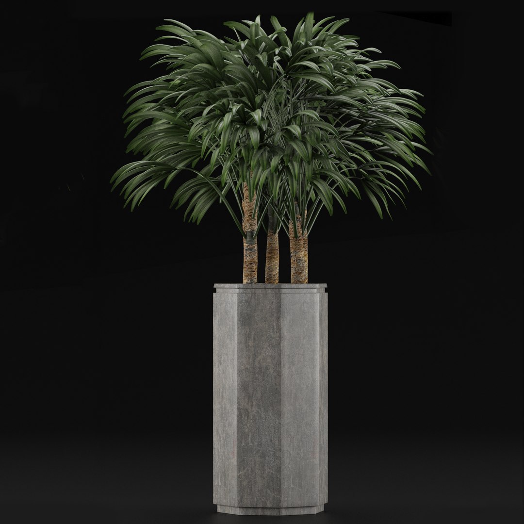 Single plant 15 3D - TurboSquid 1586394